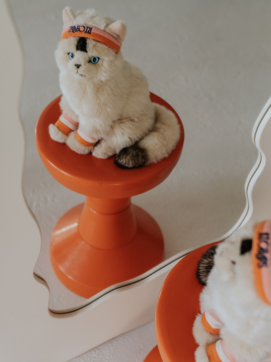 Buy BT Chaps Dolly the Ragdoll Cat Plushie – Playoffside.com