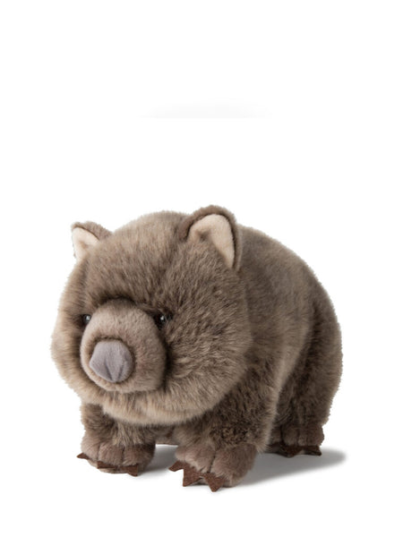 Buy WWF Wombat Brown Teddy bear from Bon Ton Toys – Playoffside.com