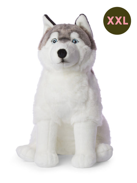 Buy Giant WWF Husky Teddy bear from Bon Ton Toys – Playoffside.com