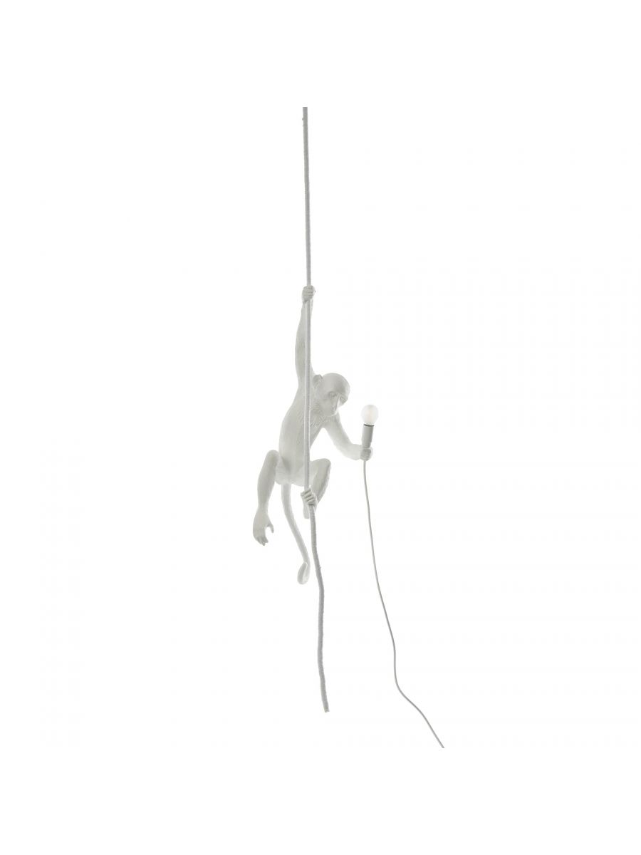 Indoor Monkey Ceiling-hanging Lamp – Playoffside.com