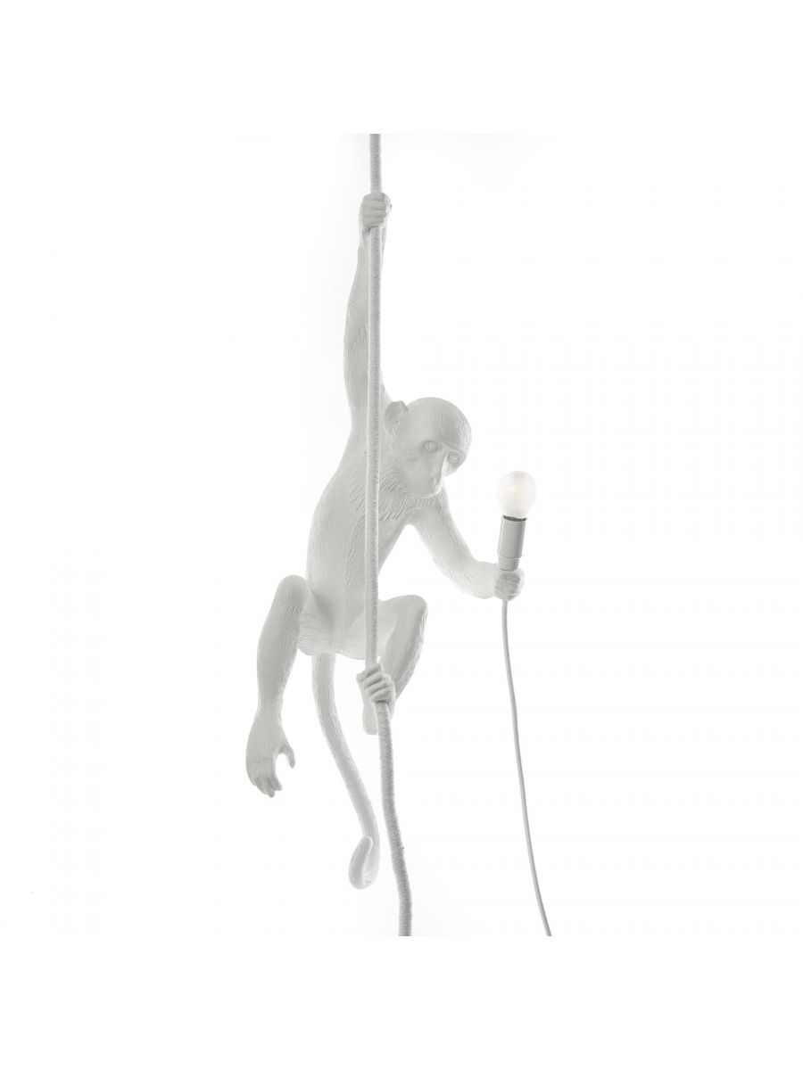Indoor Monkey Ceiling-hanging Lamp – Playoffside.com