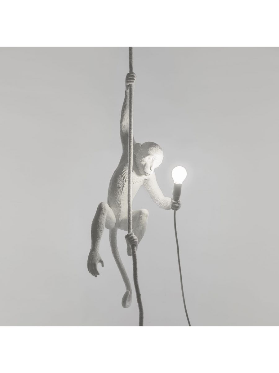 Indoor Monkey Ceiling-hanging Lamp – Playoffside.com
